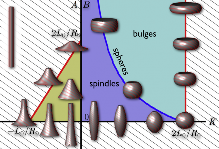 FLEXIBLE DEFORMABLE SHEET STRUCTURE